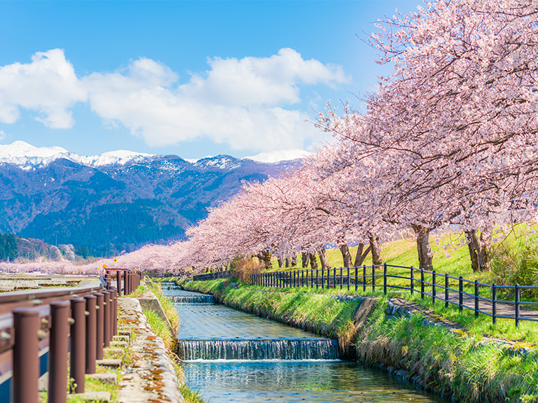 The 4 Seasons of Japan | G'Day Japan!