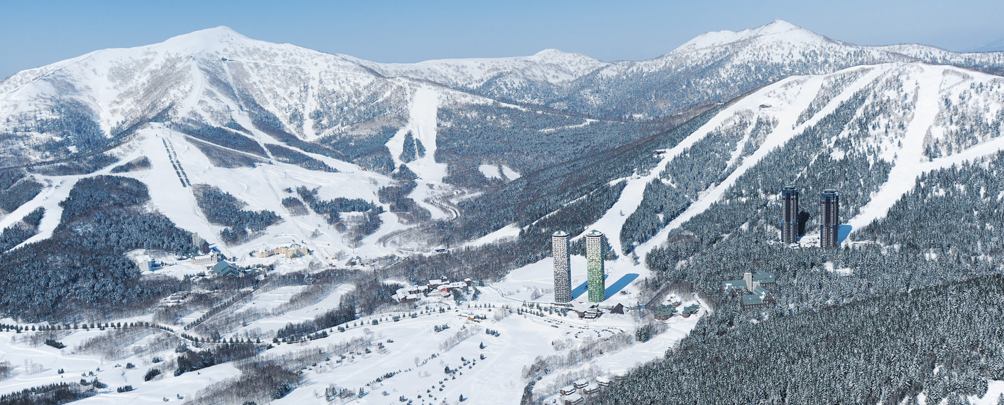 TOMAMU | G'Day Japan!