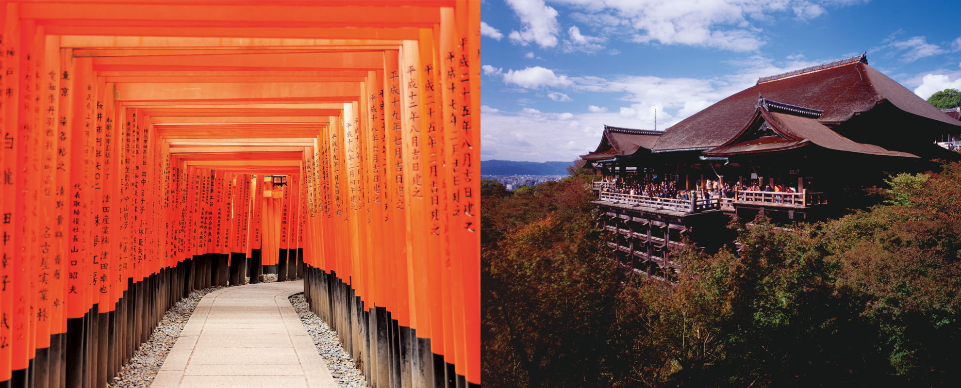 TIMELESS KYOTO ICONS | G'Day Japan!