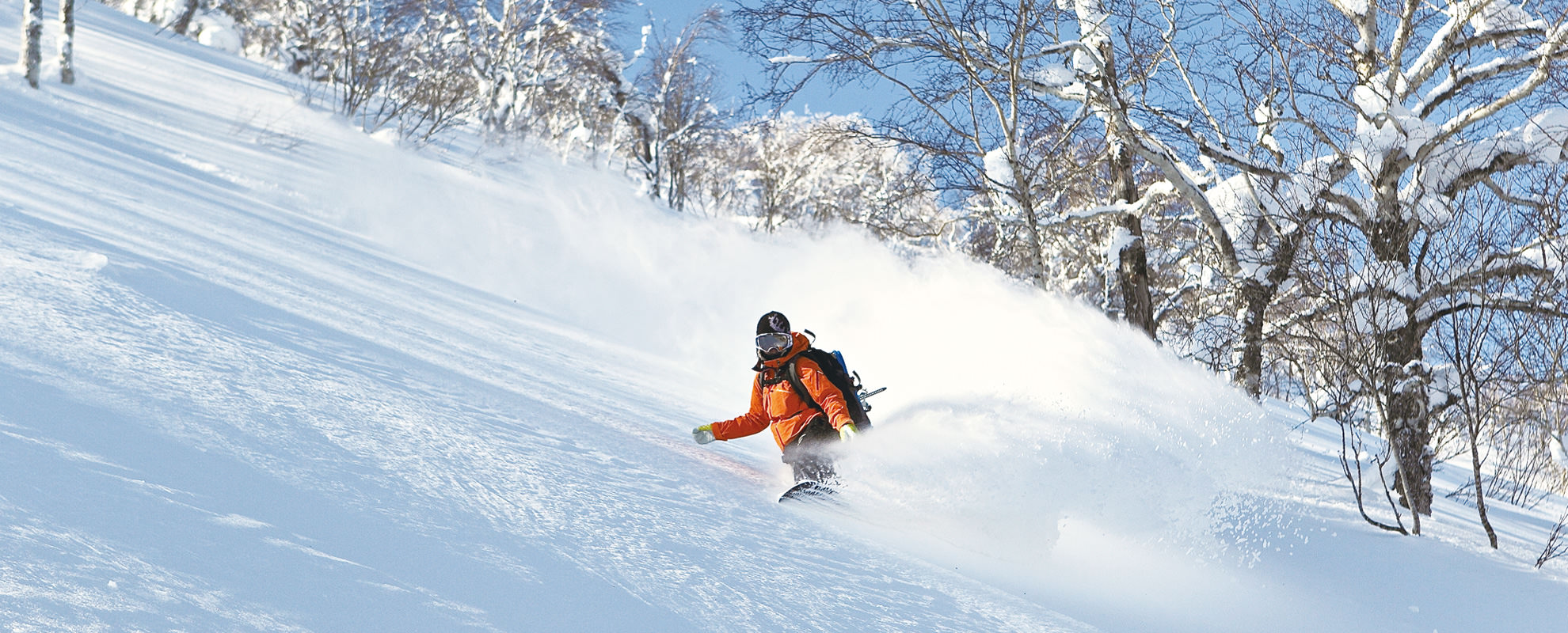 HOKKAIDO POWDER BELT | G'Day Japan!