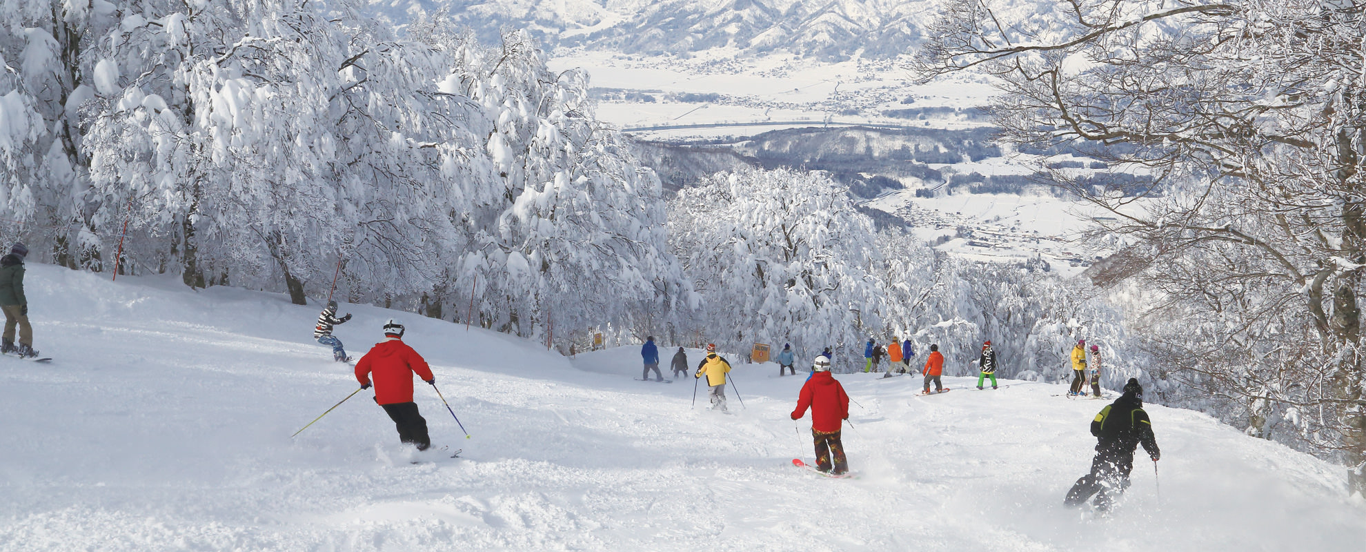 Powder bliss in Nagano ; NOZAWA ONSEN | G'Day Japan!