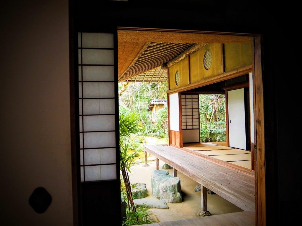 Exploring Ehime – The Citrus Capital of Japan! | G'Day Japan!