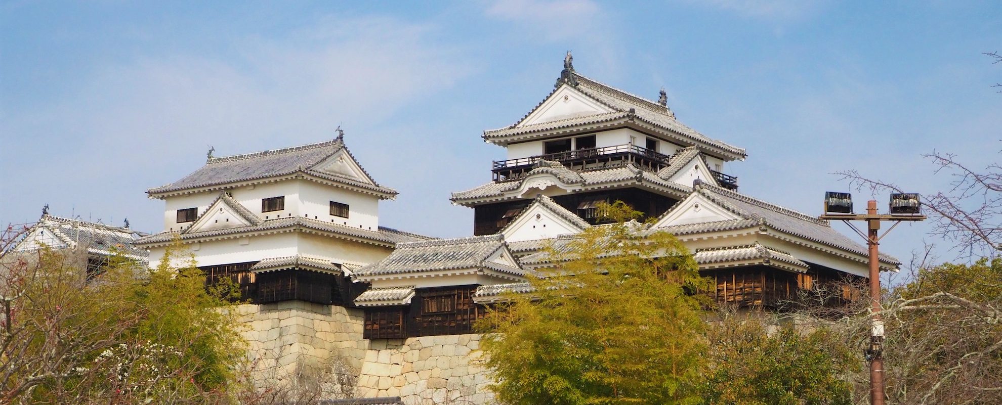 Exploring Ehime – The Citrus Capital of Japan! | G'Day Japan!