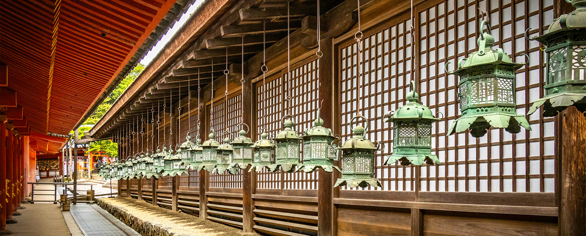 The Best Tours to Experience Nara’s History, Culture, and Cuisine | G ...