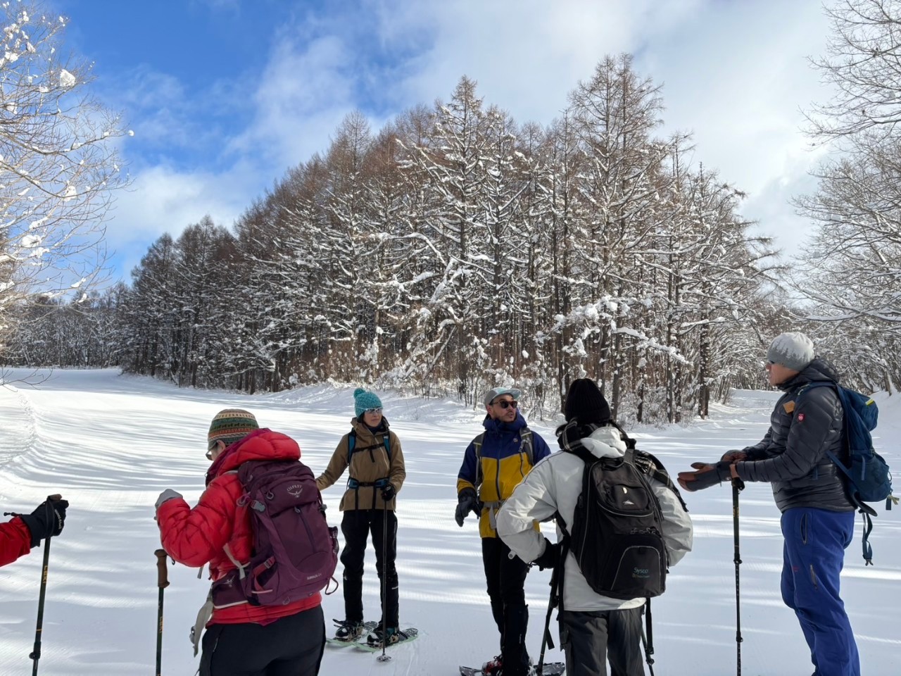 Fukushima Winter Trekking Tour 2025 from Numajiri Kogen Lodge | G'Day ...